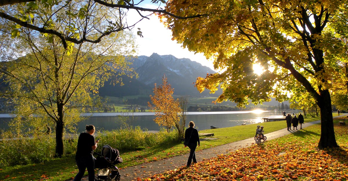 Family Travel Groups: Your Ultimate Guide to Planning Memorable Group ...
